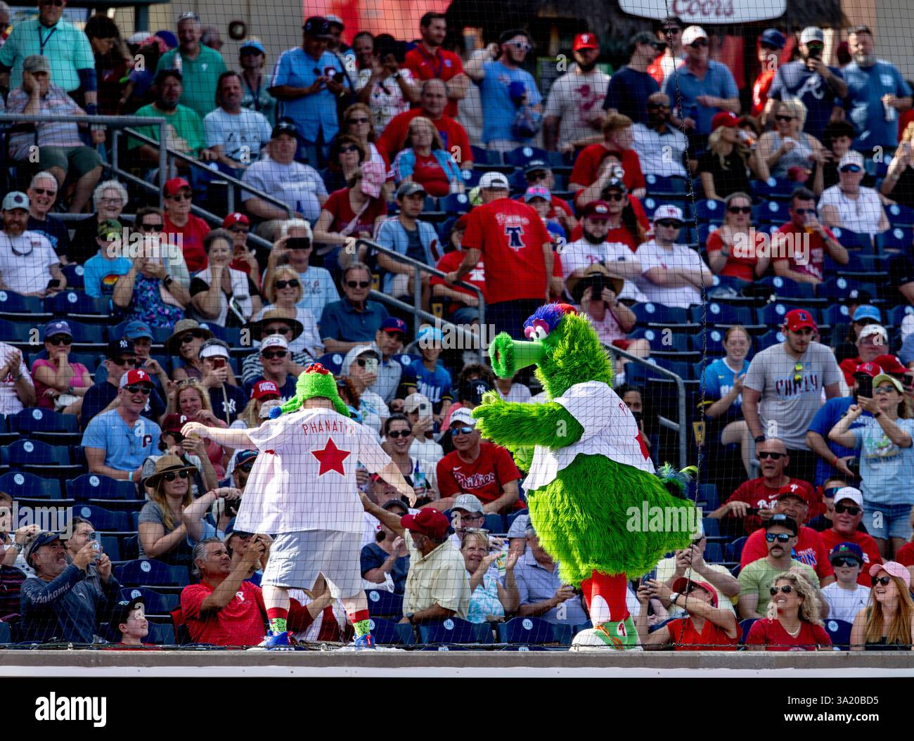 Philadelphia Phillies Maskottchen Philly Phanatic tanzt bei einem ...