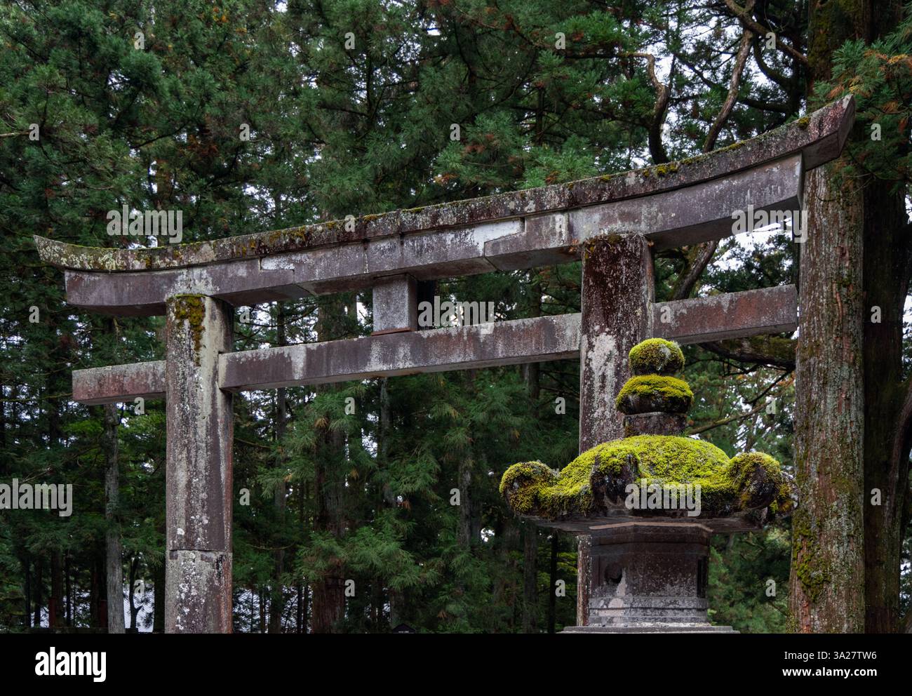 Altes Torii-Tor aus Stein am Toshogu-Schrein in Nikko Japan, bedeckt ...