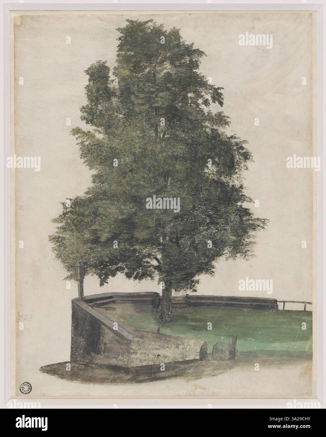 „Lime Tree on the Bastion of the Burgberg“ von Albrecht Dürer zeigt ...