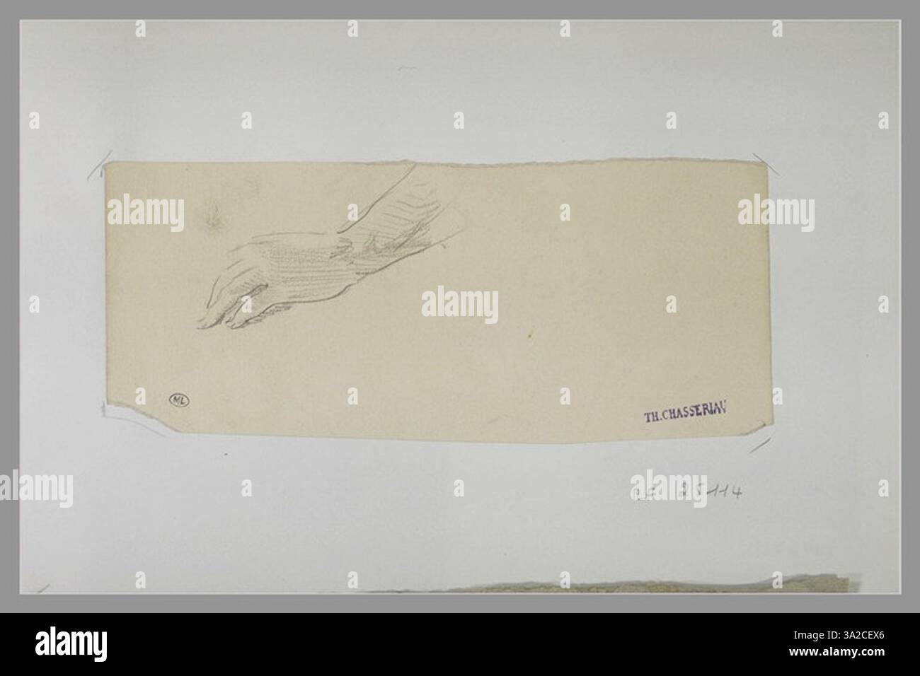 Eine Studie der linken Hand von Chassériau, die anatomische Details und ...