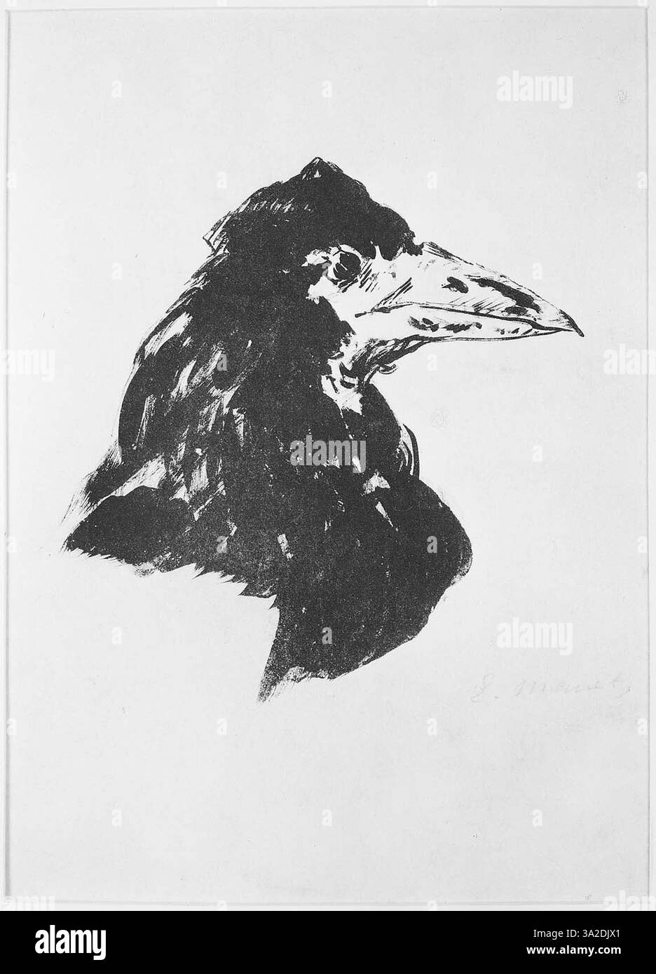 Dieser Druck von Edouard Manet zeigt einen Raben im Profil, der für das ...
