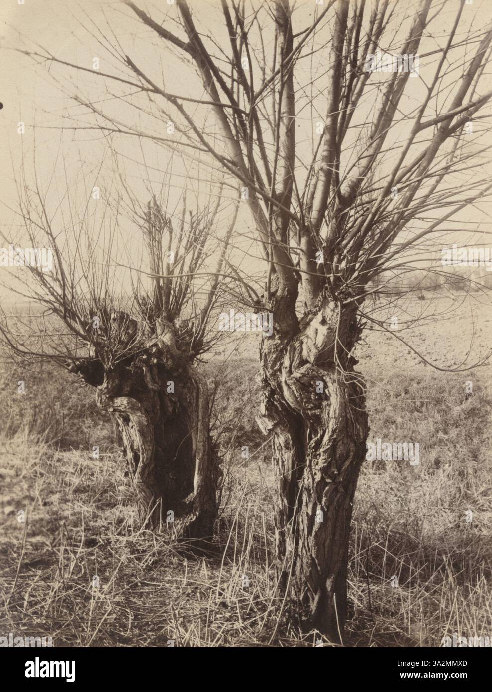 Auf diesem Foto aus dem Jahr 1921 fängt Eugène Atget eine Reihe von ...