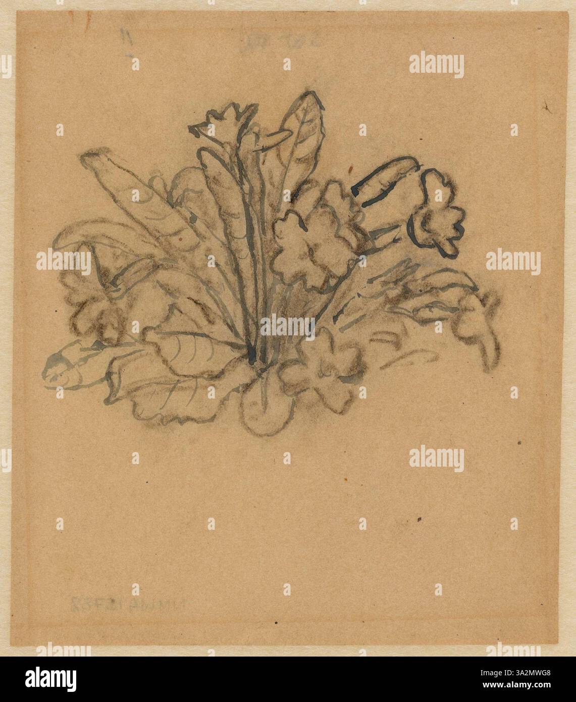 Dieses Gemälde von Gwen John fängt die Schönheit der Blumen durch ...