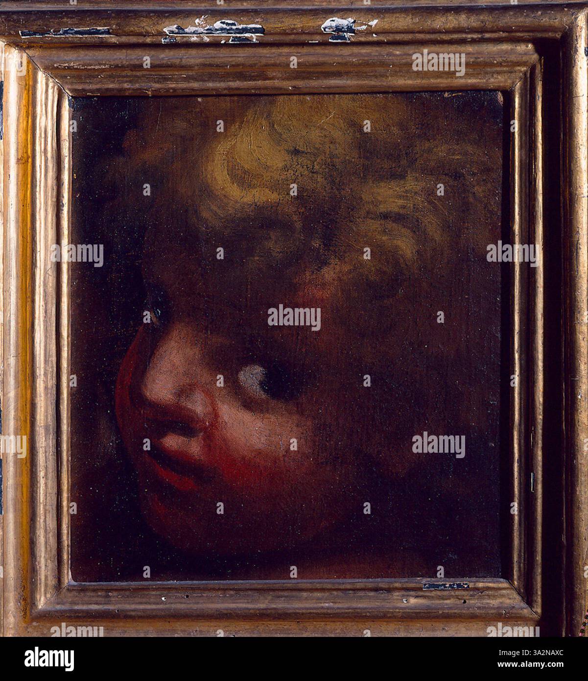 Dieses von Annibale Carracci zugeschriebene Werk zeigt den Kopf eines Engels und zeigt seine ...