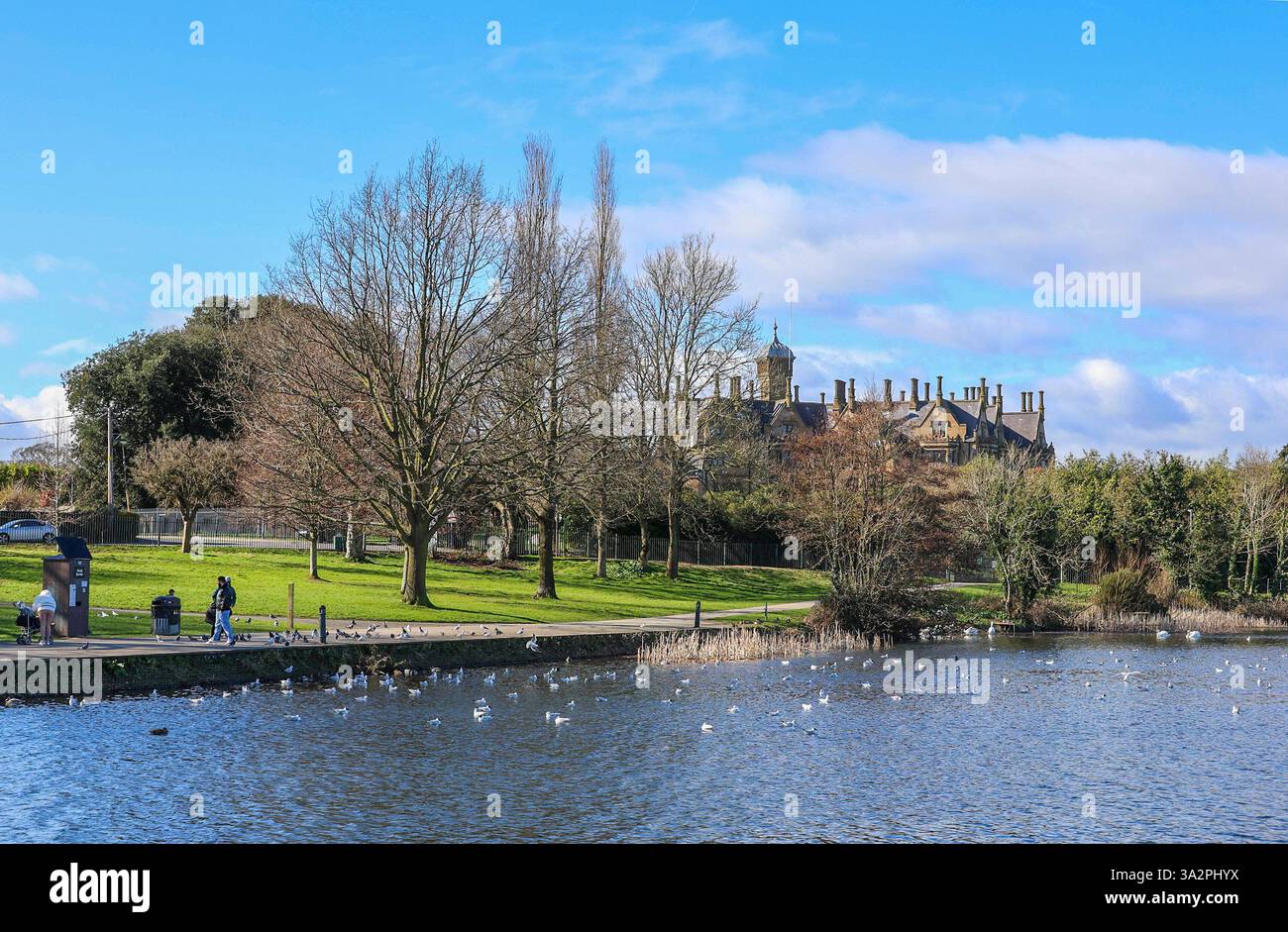 Lurgan park 2025 -Fotos und -Bildmaterial in hoher Auflösung – Alamy