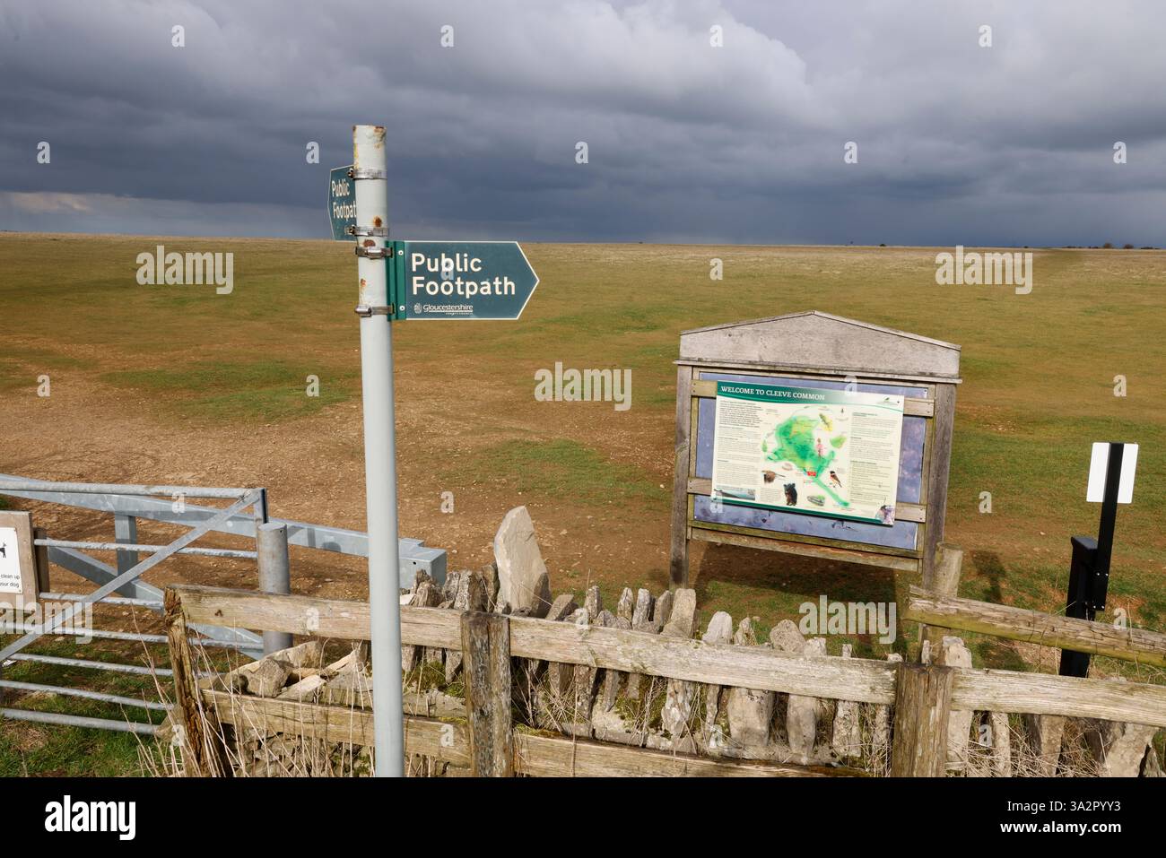Cleeve Common, auf Cleeve Hill, Cheltenham, Gloucestershire, England ...