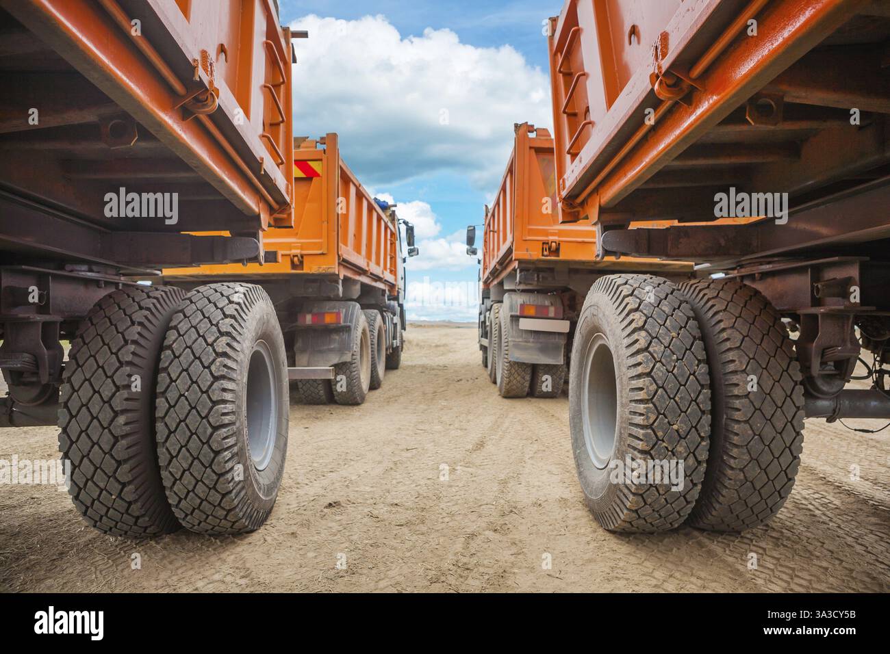 Blick durch zwei Reihen Kipper aus nächster Nähe Stockfotografie - Alamy