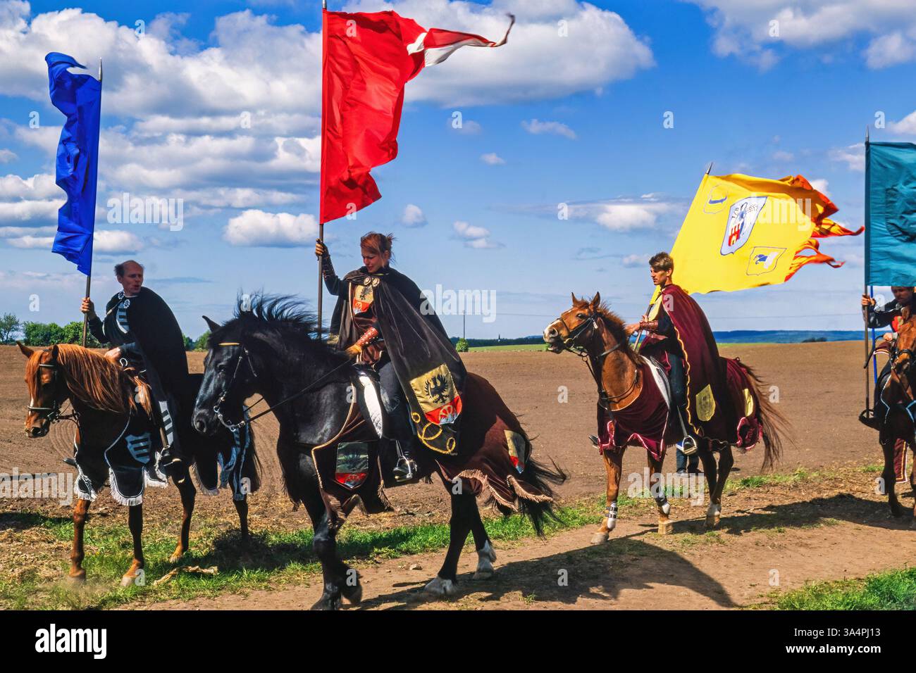 Echtes pferd -Fotos und -Bildmaterial in hoher Auflösung – Alamy