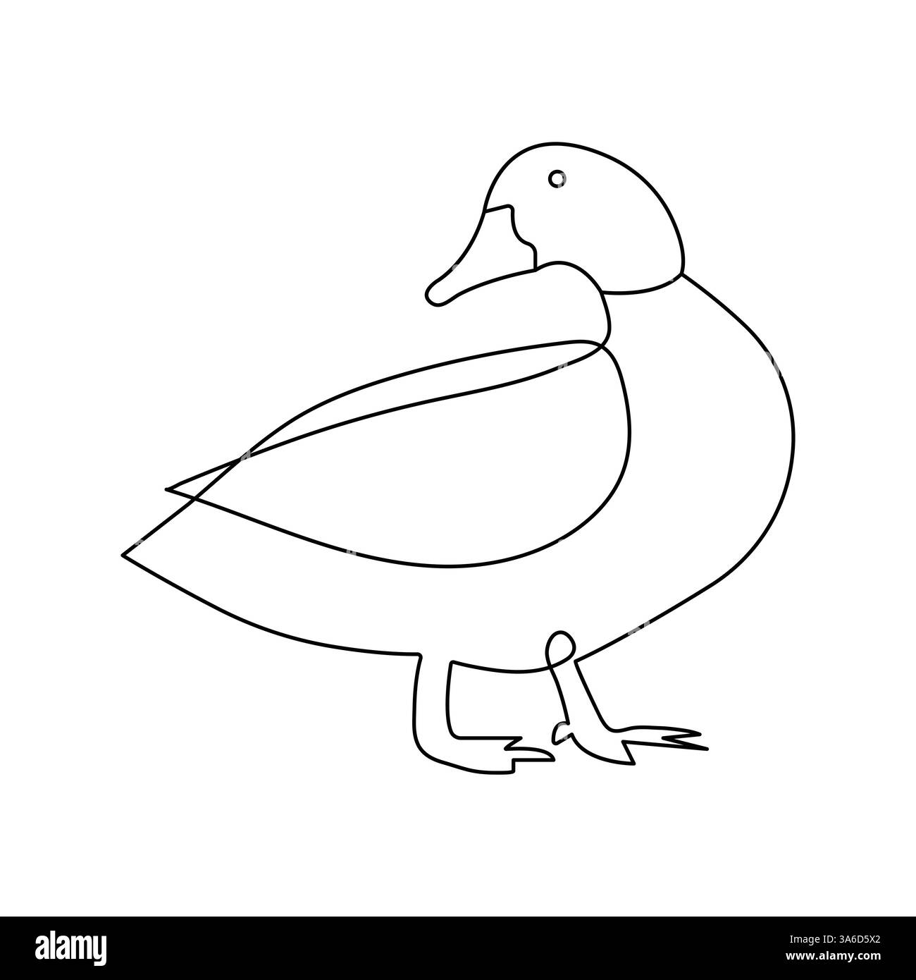 Zeichnung schwarz weiss vektor ente Stock-Vektorgrafiken kaufen - Alamy