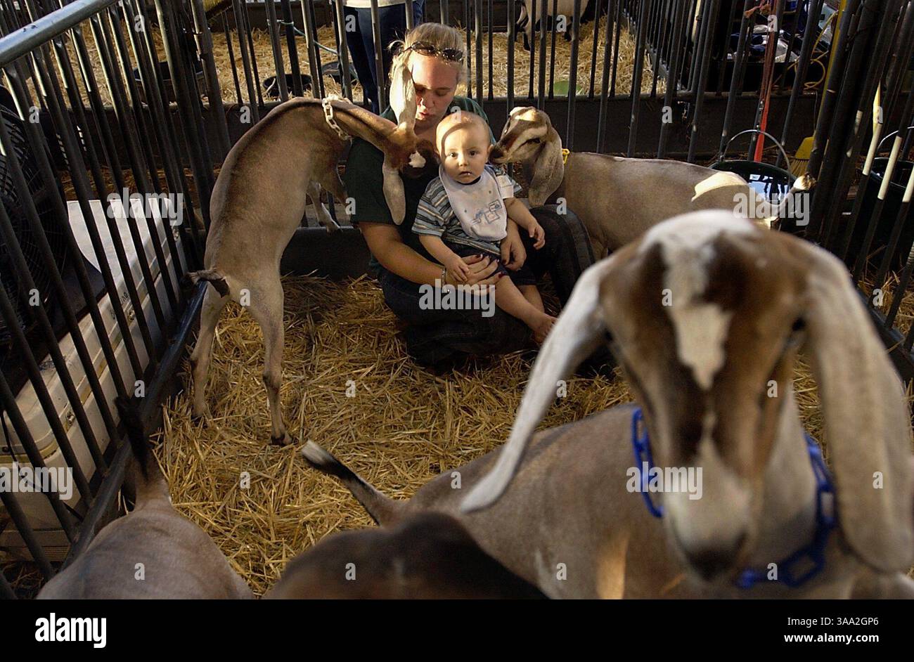 FÜR ONLINE-NUTZUNG POSTKARTEN VON DER STAATSMESSE: AUGUST. 22 Hang with ...