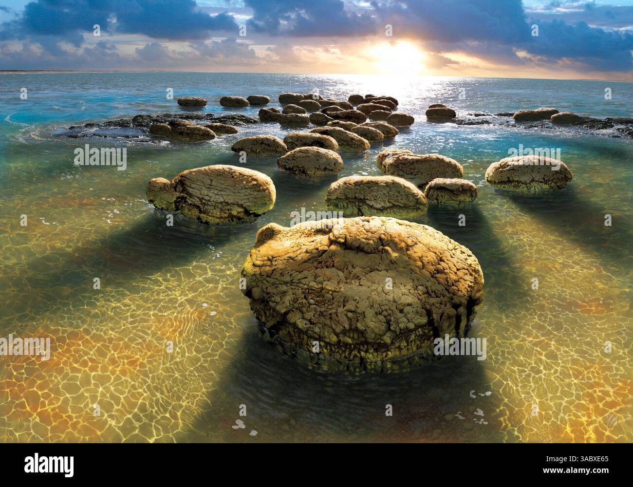Illustration Von Stromatoliten An Einem Strand Bei Ebbe W hrend Des