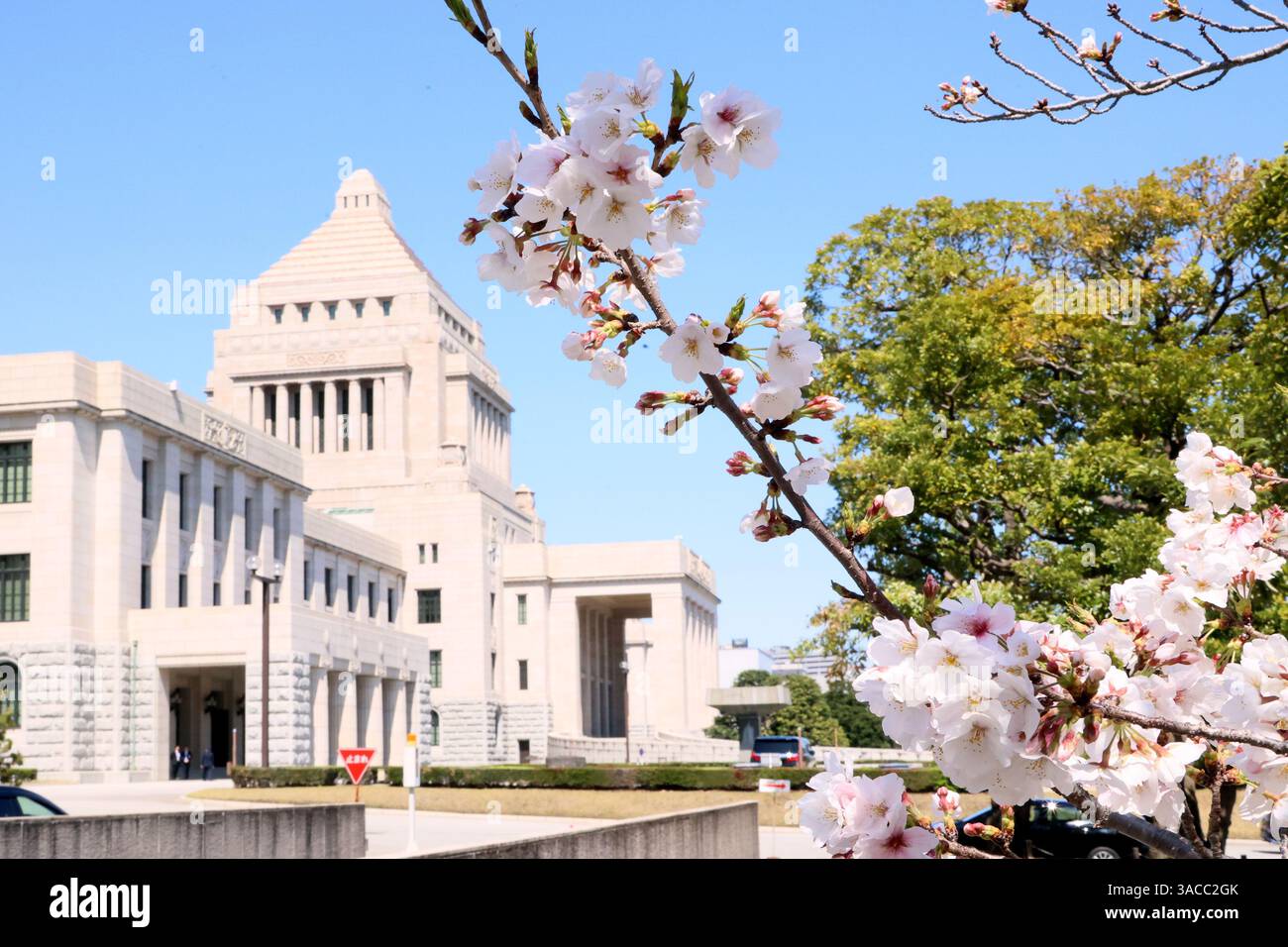 Tokio, Japan. April 2025. Am Freitag, den 4. April 2025, werden vor dem ...