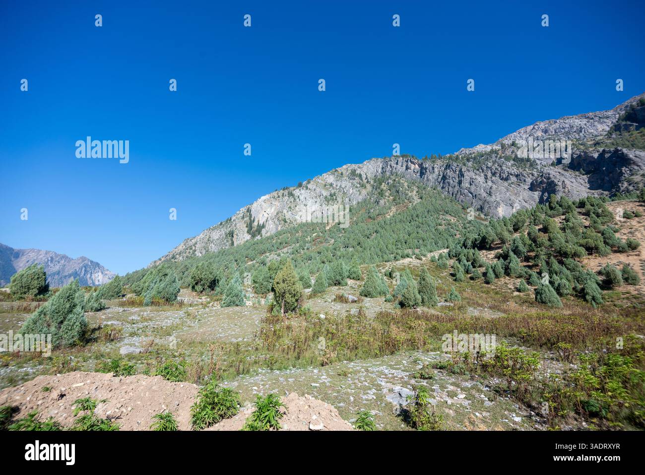 Im Gurez-Tal, nahe der Grenze zwischen Indien und Pakistan, gilt das ...