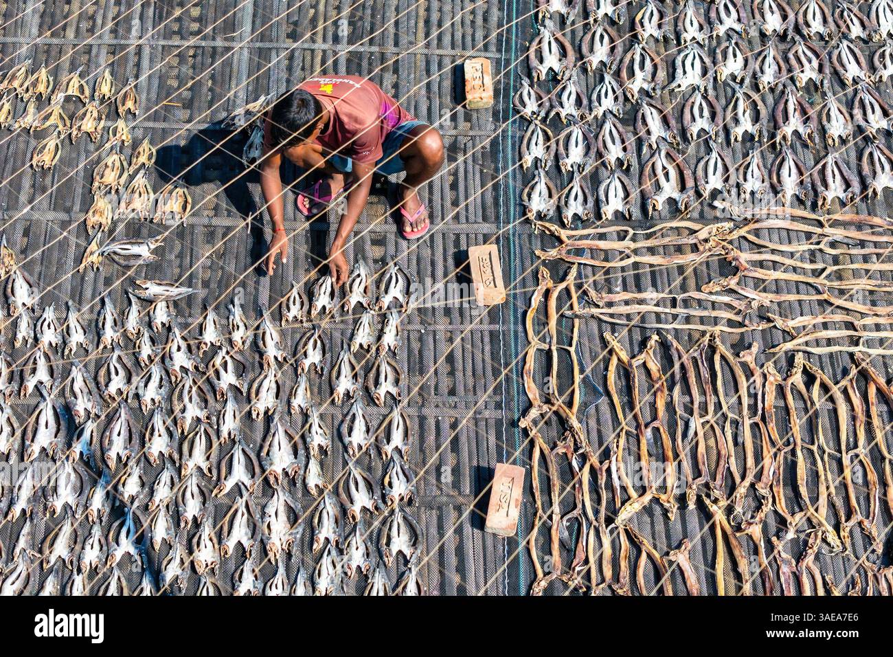 Nicht exklusiv: Fischer legen verschiedene Arten von Fisch und ...