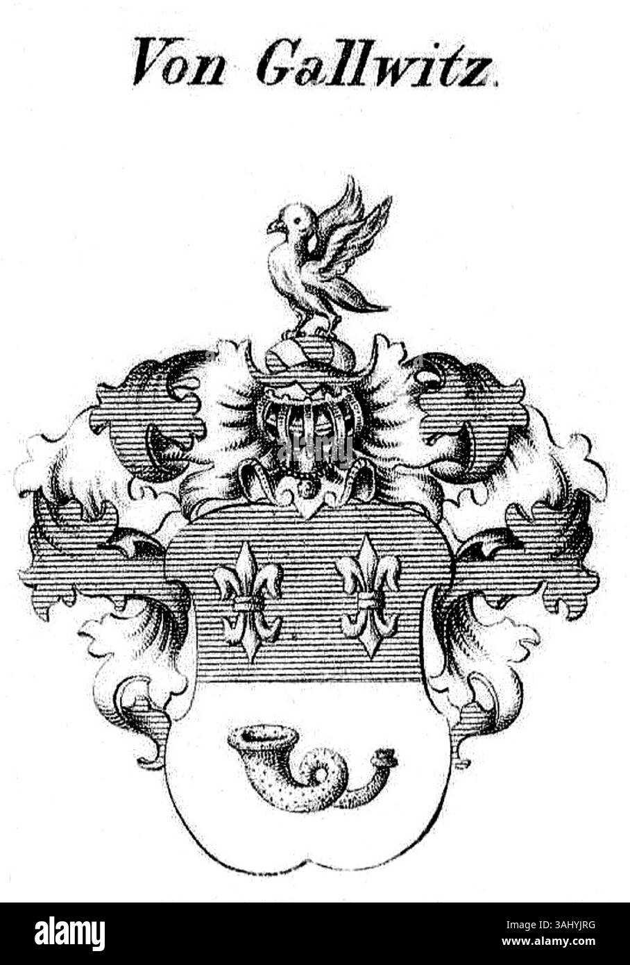 Ein Wappen der Familie Gallwitz aus dem Jahr 1820 mit dem ...
