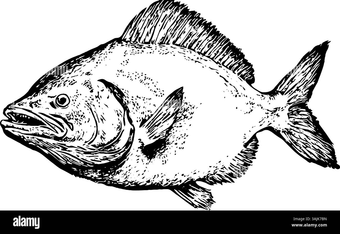 Eine detaillierte Illustration eines Fischs mit Flossen, Schuppen und ...