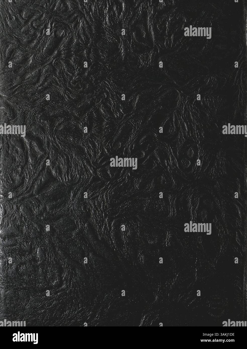 Das Tiger Yearbook 1946 der South High School dokumentiert das ...