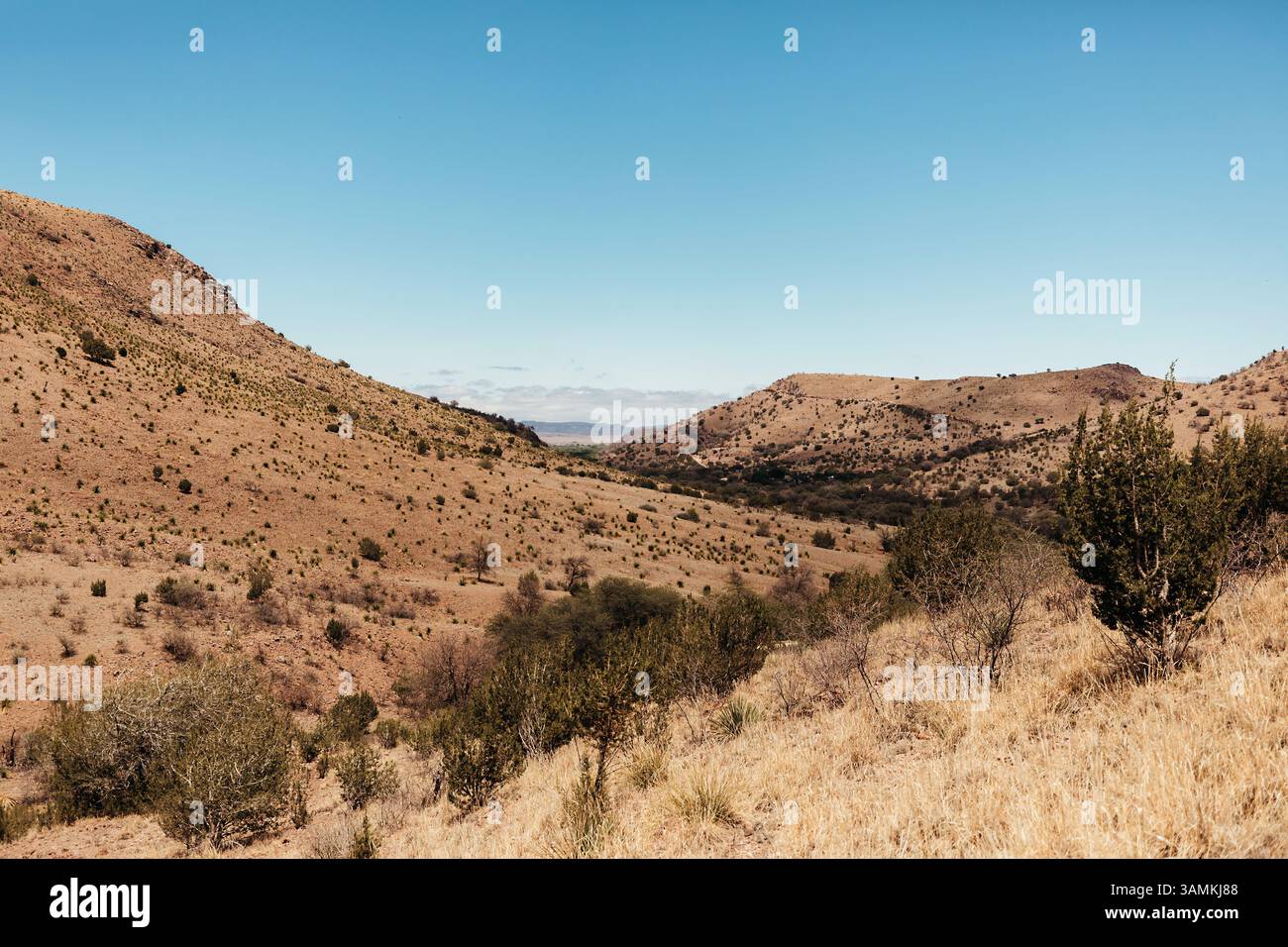 Blick vom Indian Lodge Trail im Davis Mountains State Park in Texas ...