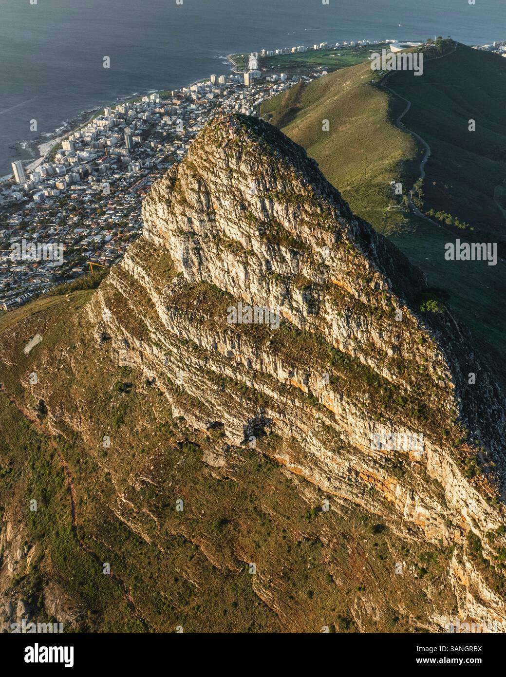 Blick aus der Vogelperspektive auf das Signal Hill Nature Reserve (Lion ...