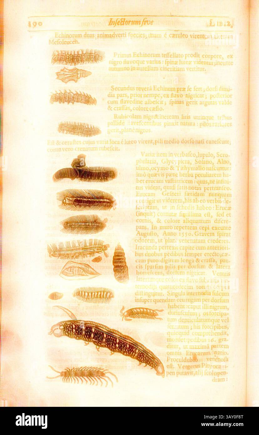 Eine Sammlung detaillierter Illustrationen zu verschiedenen ...