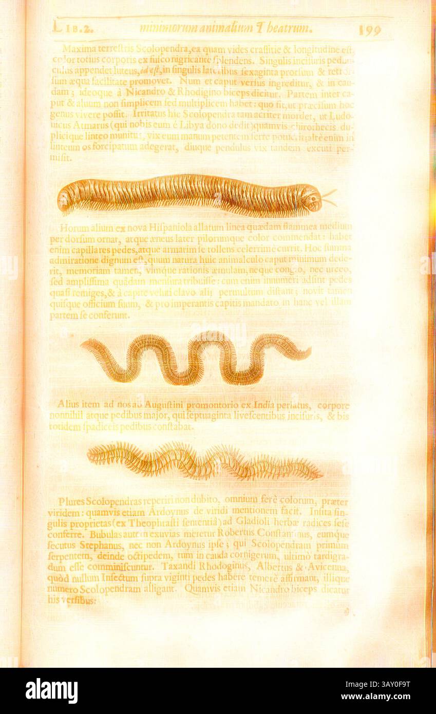 Neben beschreibendem Text werden Illustrationen verschiedener Arten von ...