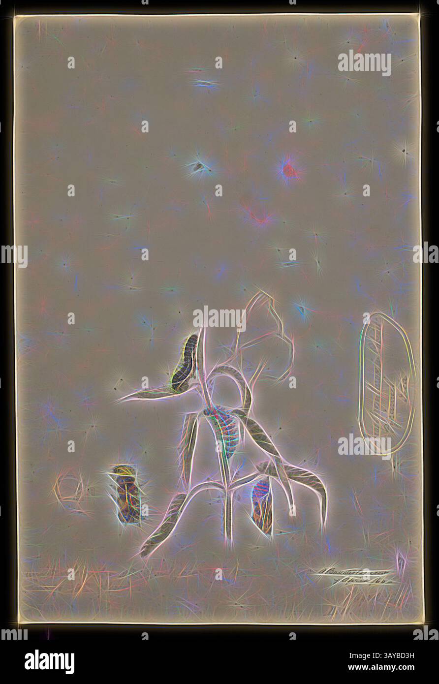 Raupe distelfalter -Fotos und -Bildmaterial in hoher Auflösung – Alamy