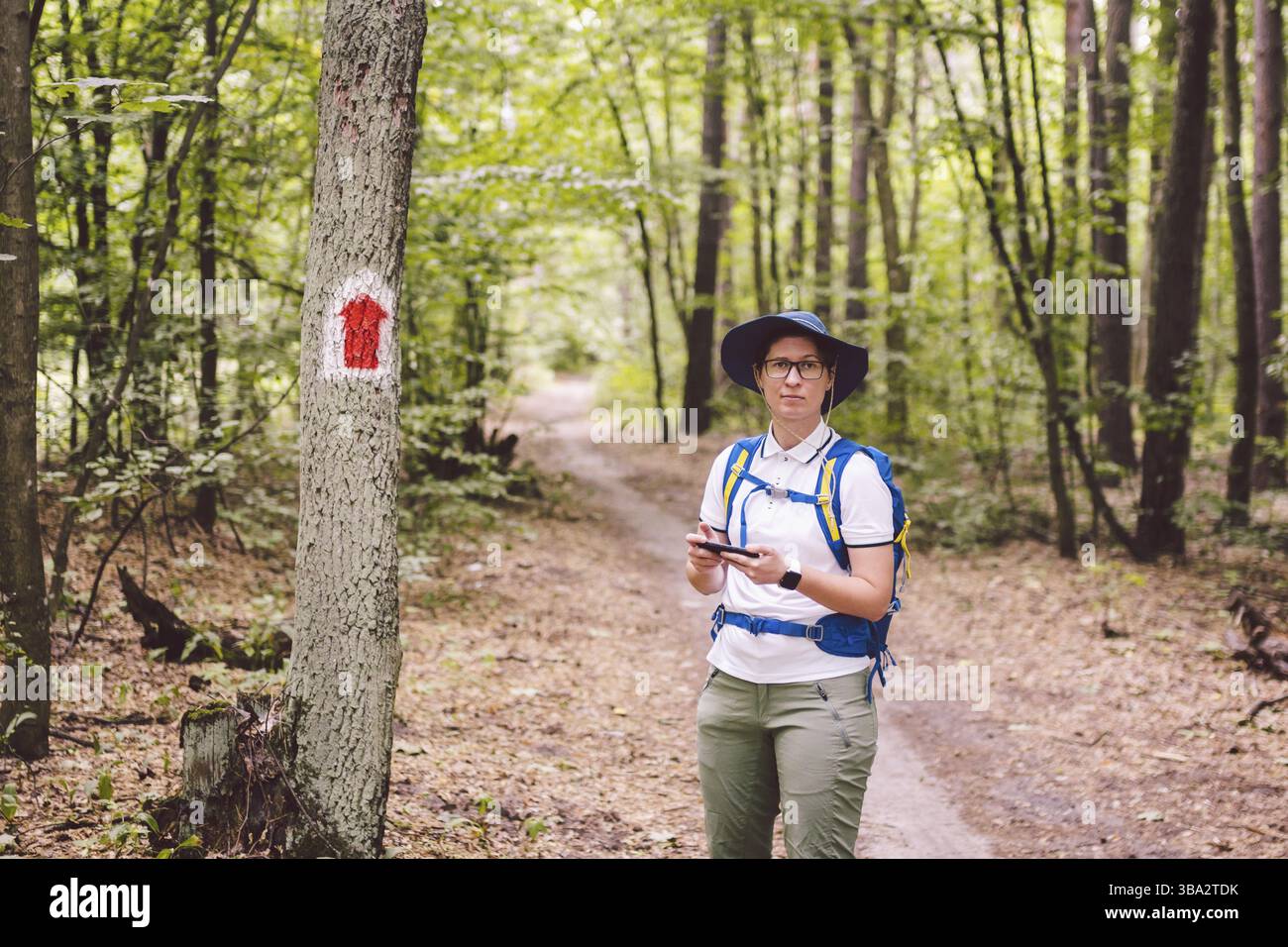 Wandern markierte Wanderweg in den Wald. Kennzeichnung der ...