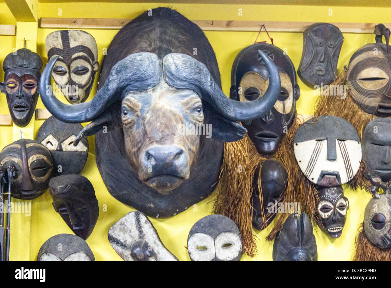 Ausstellung afrikanischer wildtiere -Fotos und -Bildmaterial in hoher ...