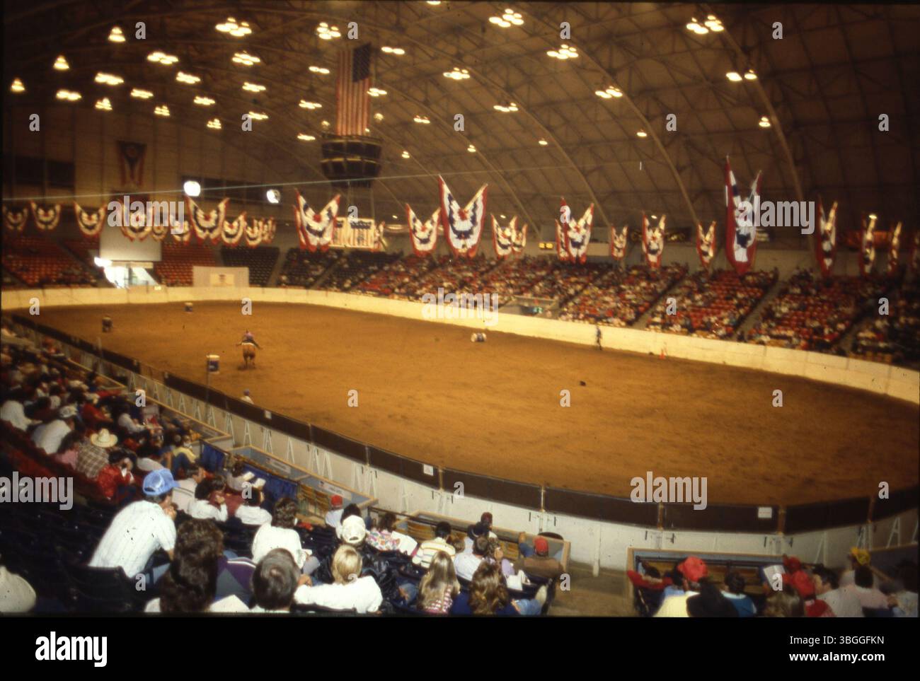 Der All American Quarter Horse Congress, der auf dem Ohio State ...