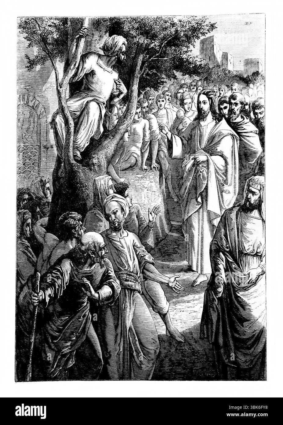 Illustration von Jesus, der den Oberverdiener Zachäus rief, der auf ...