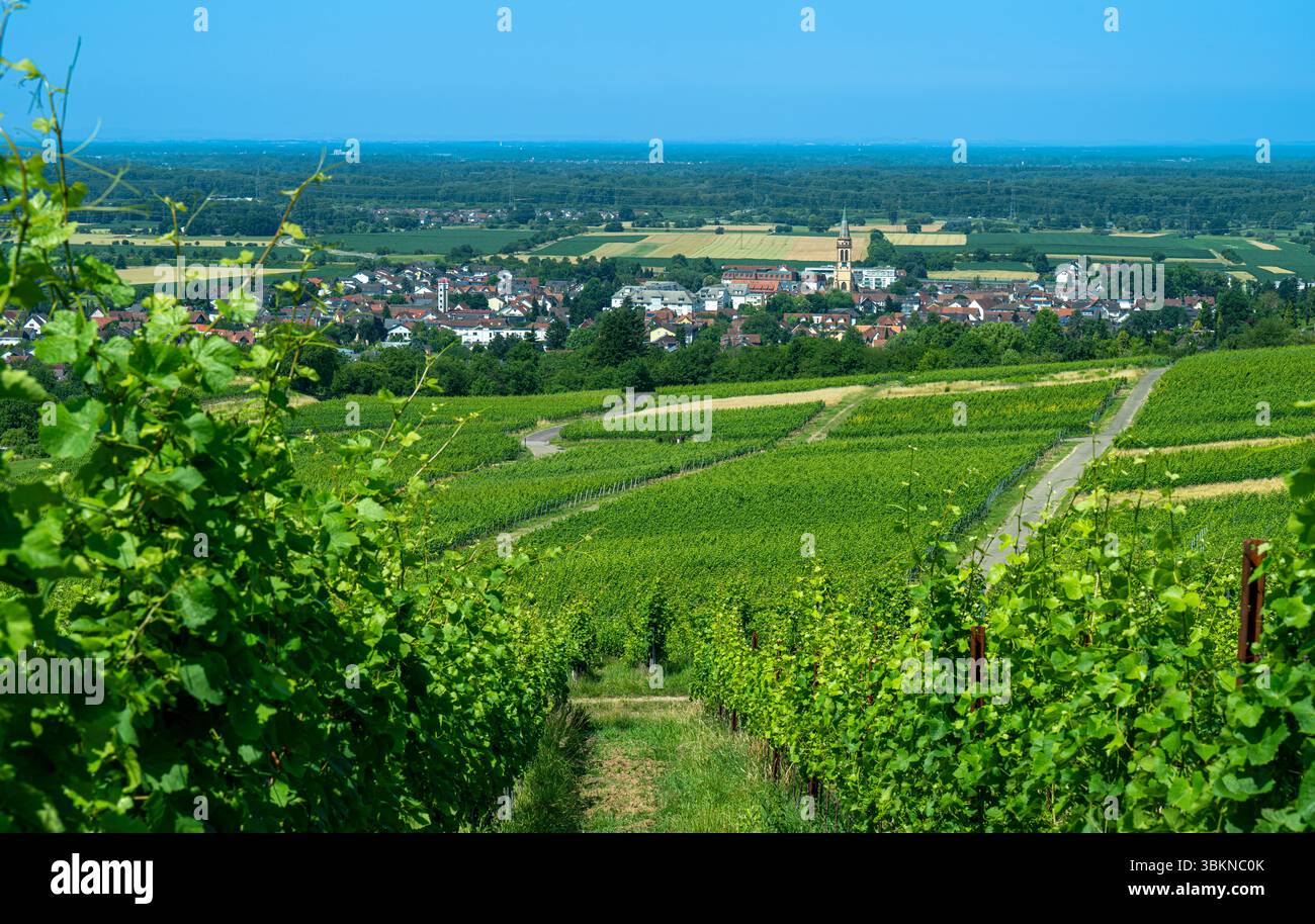 Sinzheim Baden Baden