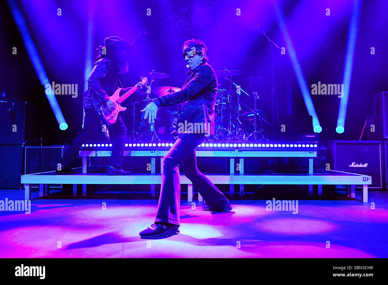 Dachs bilder -Fotos und -Bildmaterial in hoher Auflösung – Alamy