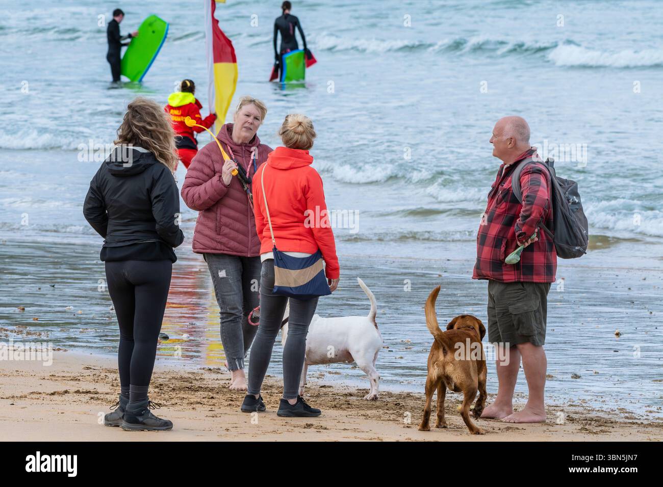 Treffen mit hunden und besitzern -Fotos und -Bildmaterial in hoher ...