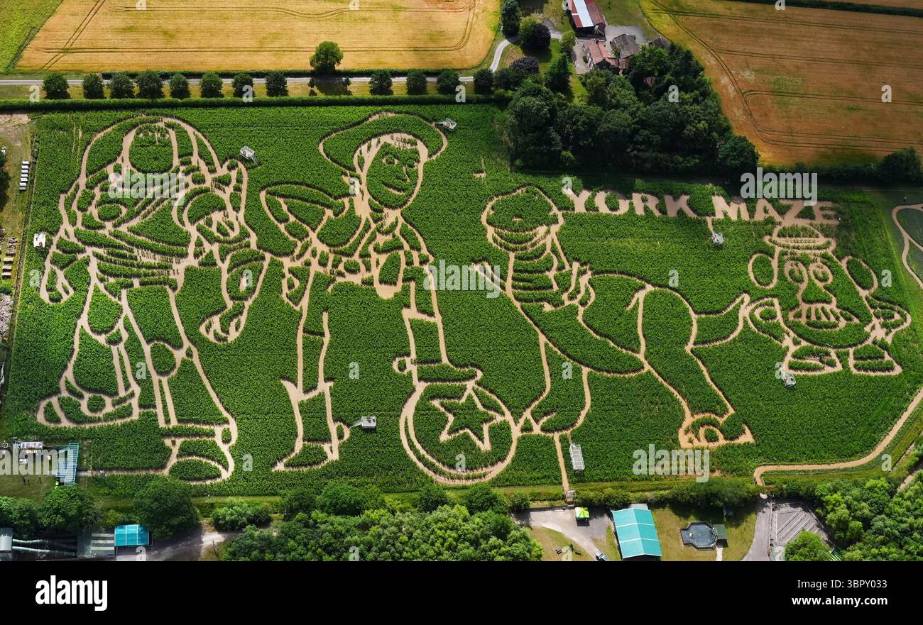 Eine Luftaufnahme des diesjährigen York Labyrinths, das 30 Jahre ...