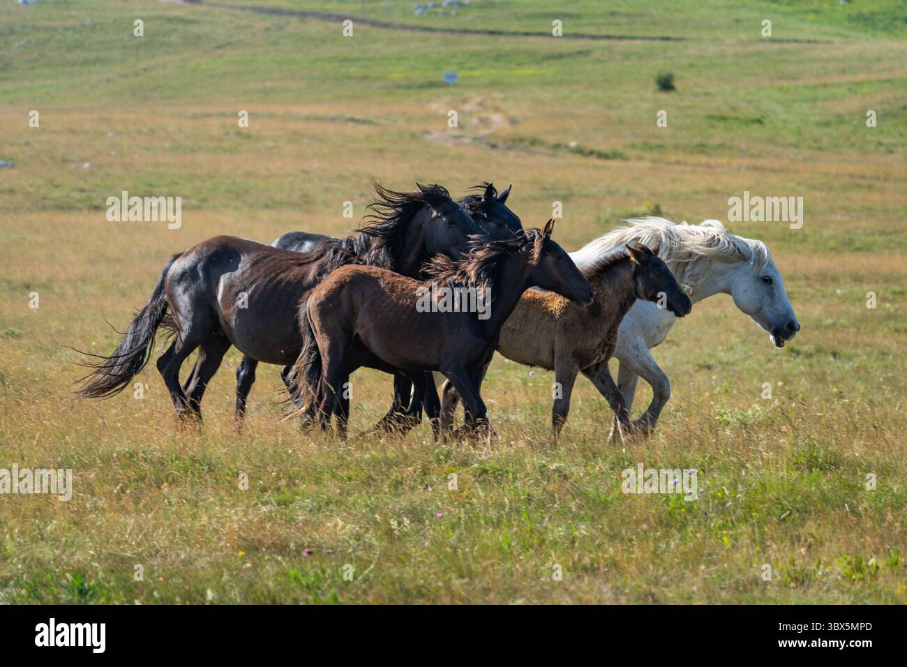 Bosnisches hochland -Fotos und -Bildmaterial in hoher Auflösung – Alamy