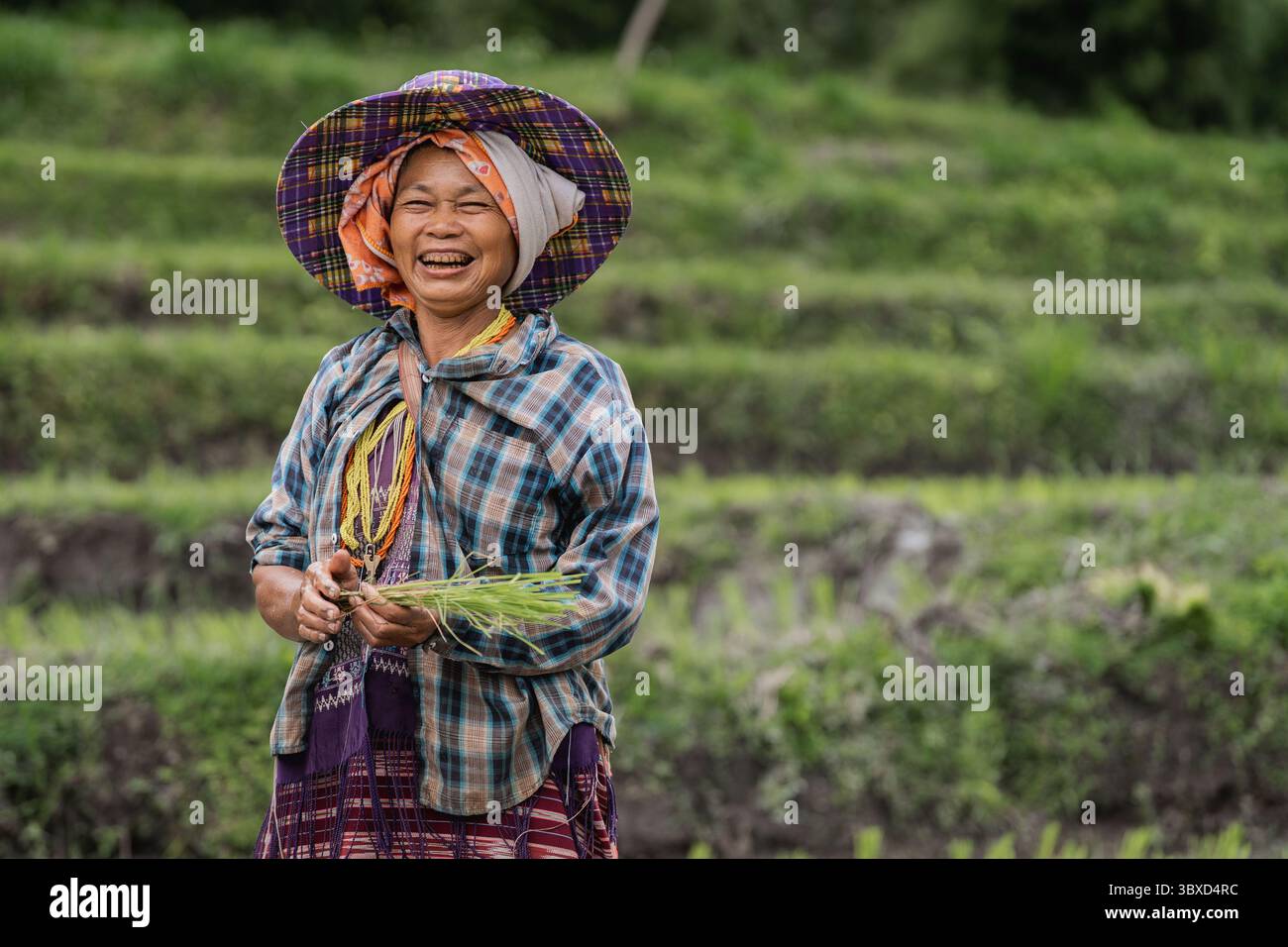 Mae Win, Thailand. Juli 2025. Ein Karen-Bauer, der während der ...