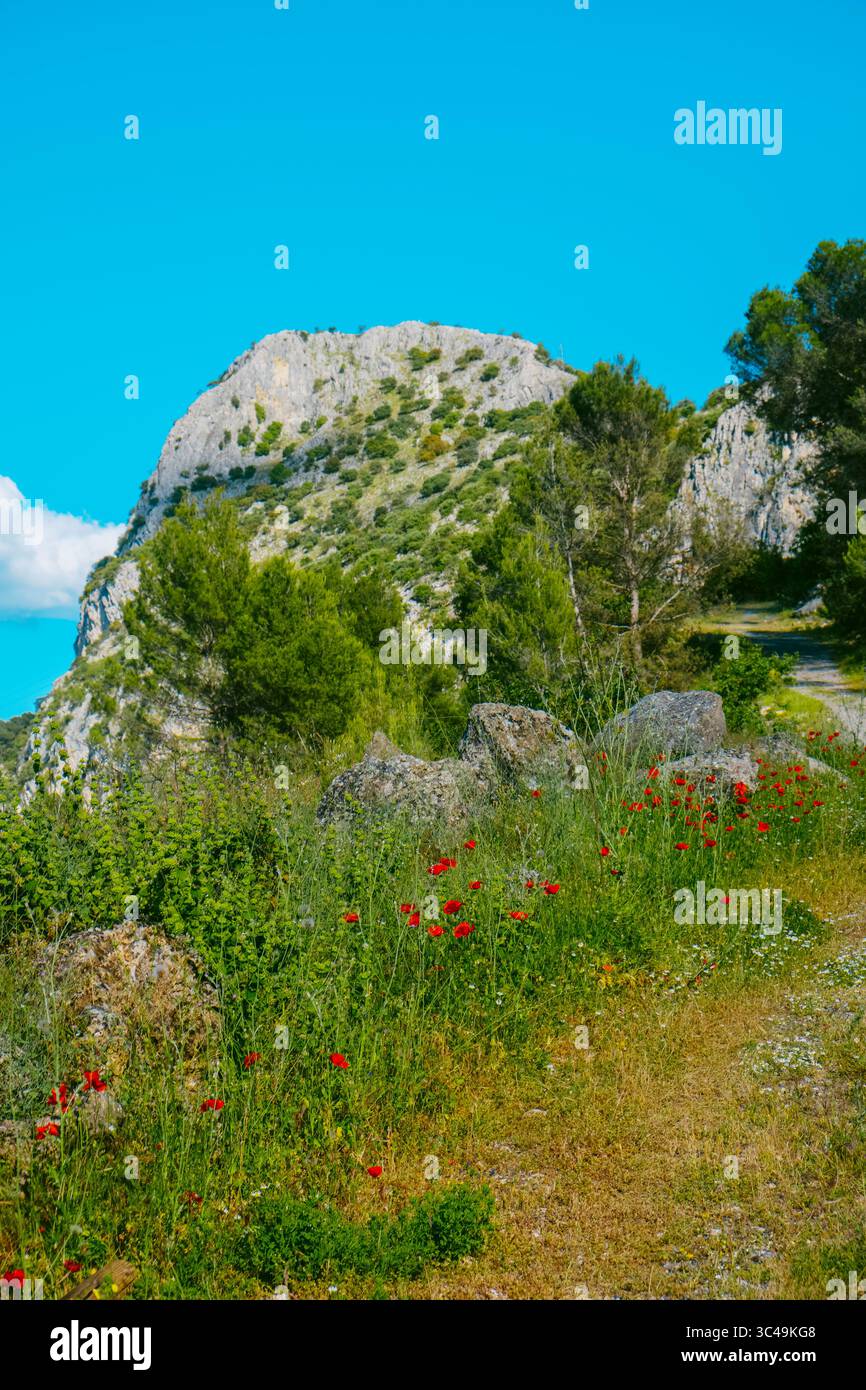 Blick auf einen felsigen Bergrücken in der Sierra del Camorro, Teil des ...