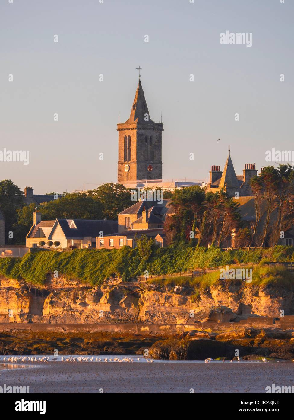 Blick auf St. Andrews und St. Saviours Tower, University of St Andrews ...