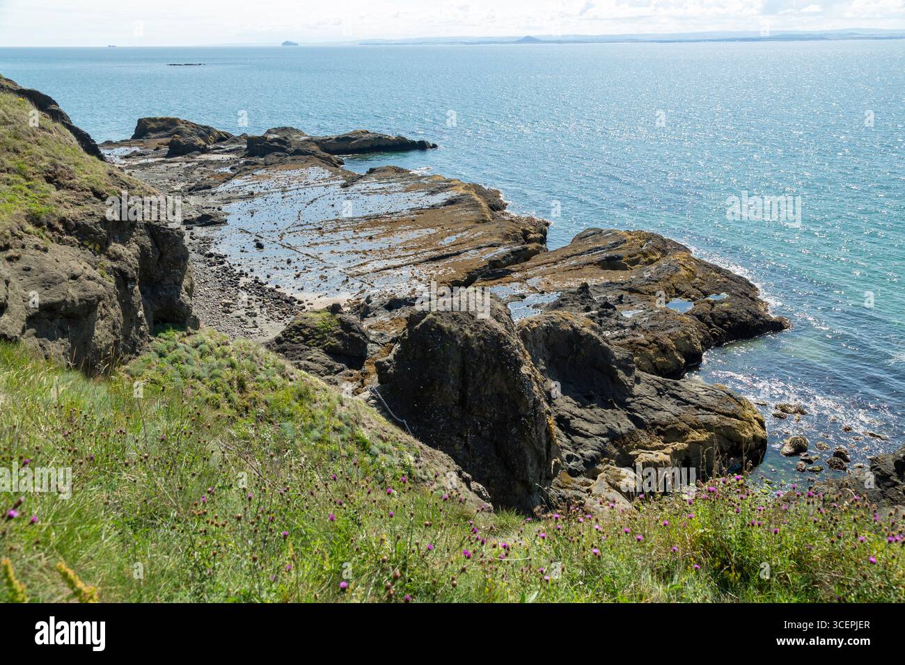 Blick hinunter vom Fife Coastal Path zu den Klippen mit dem berühmten ...