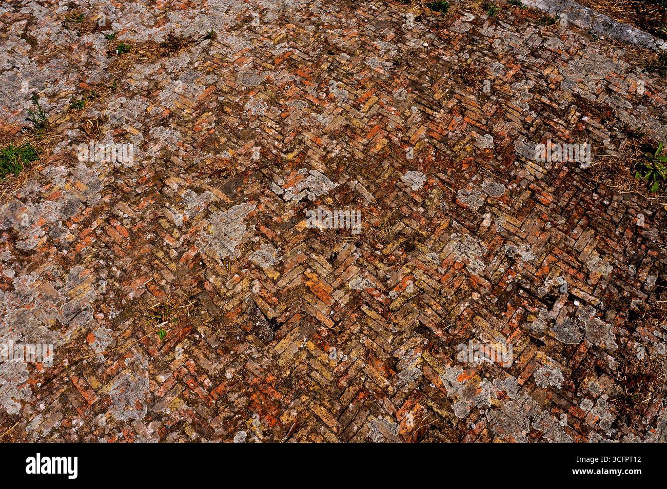 D0548 a6549 -Fotos und -Bildmaterial in hoher Auflösung – Alamy