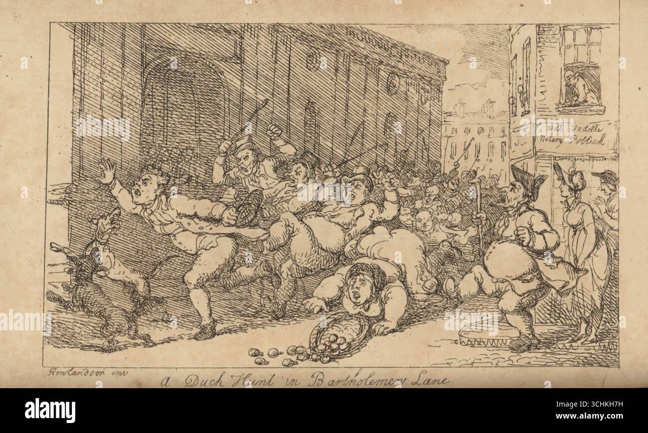 Marmaduke markwell -Fotos und -Bildmaterial in hoher Auflösung – Alamy