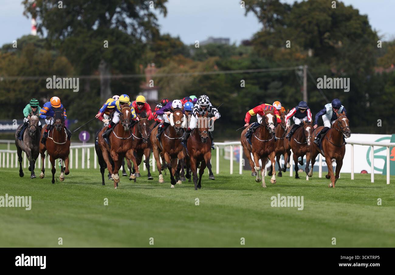 Irish champions festival leopardstown racecourse samstag se -Fotos und ...