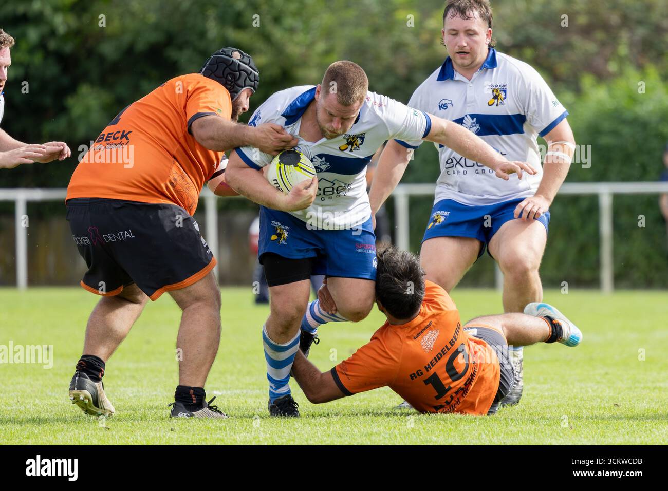 Bundesliga rugby -Fotos und -Bildmaterial in hoher Auflösung – Alamy