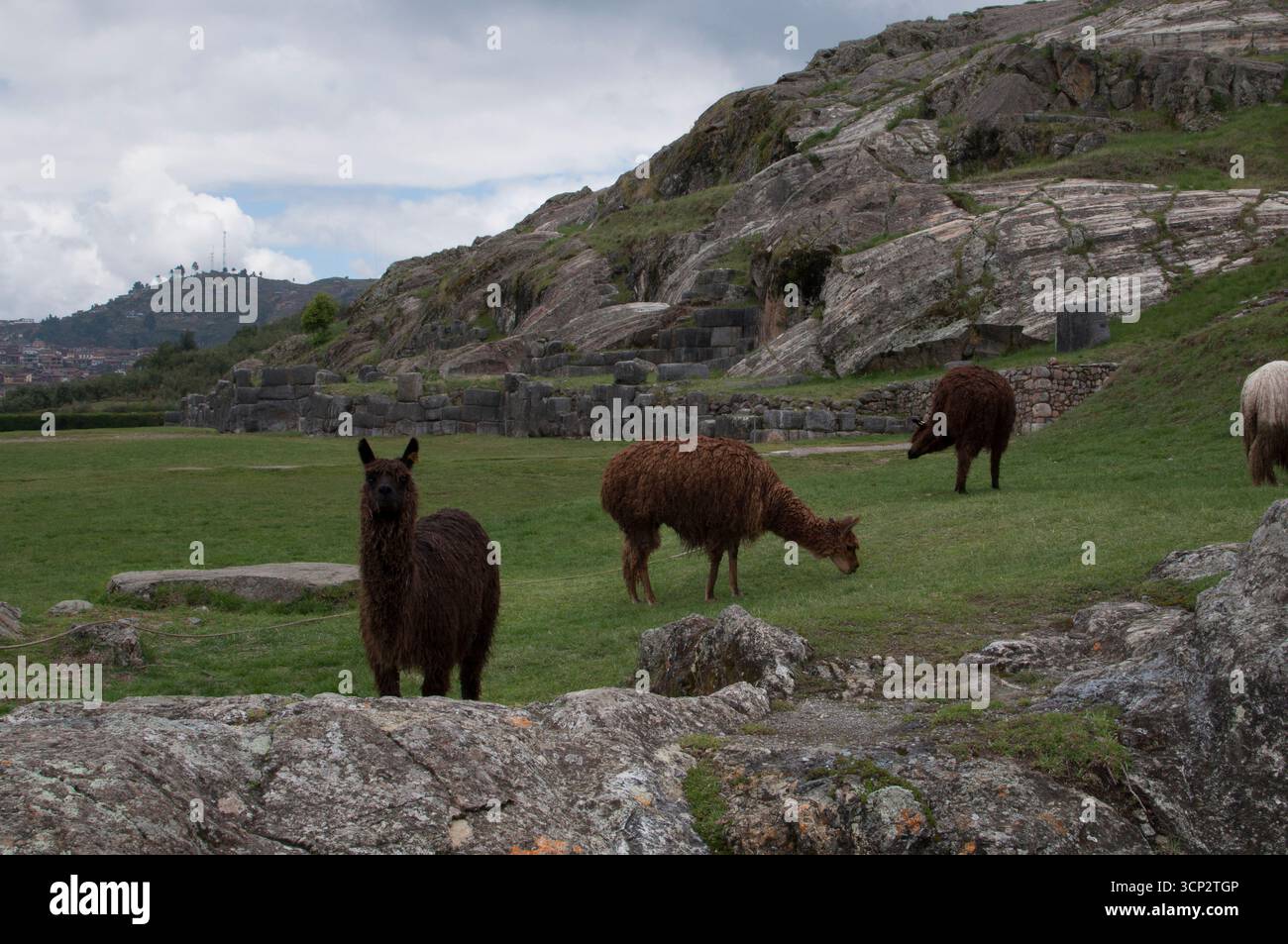 Arquitectura incaica -Fotos und -Bildmaterial in hoher Auflösung – Alamy