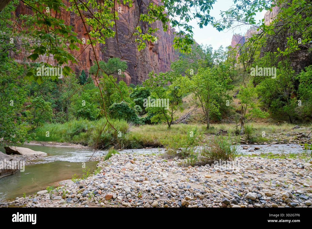 Wald fluss mit steine lichtung -Fotos und -Bildmaterial in hoher ...