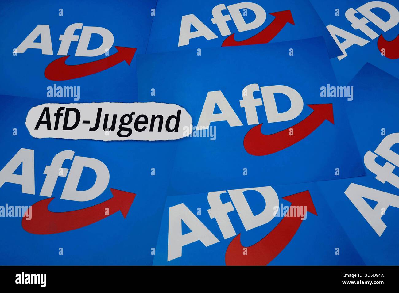 AFD-Logos und AfD-Jugend Fotomontage: AFD-Logos und AfD-Jugend, 15.11. ...
