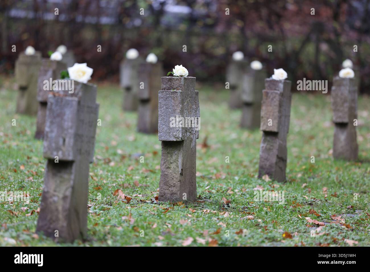 Es wurden Rosen auf die Steinkreuze gelegt. Volkstrauertag, zum ...