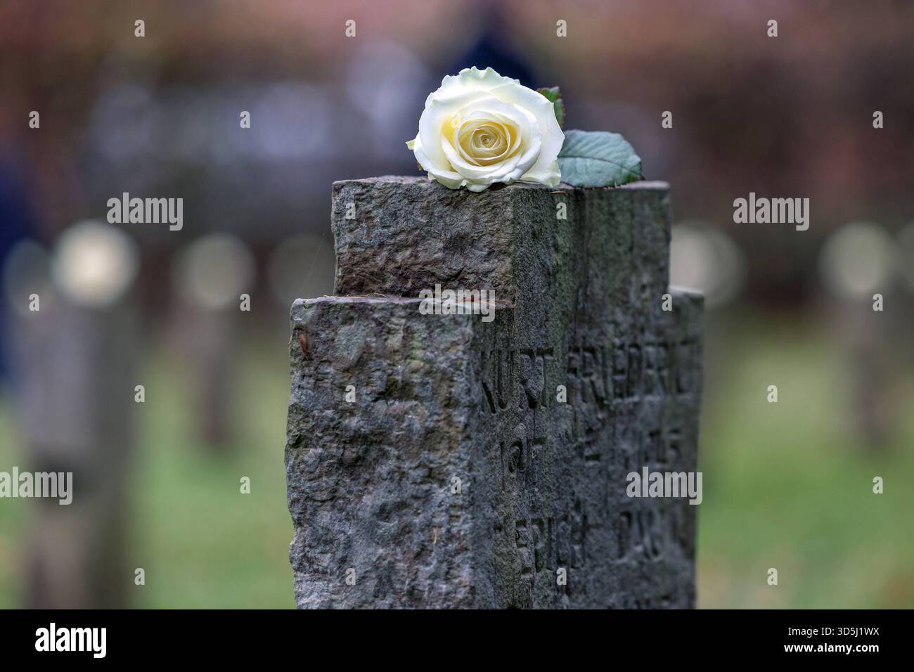 Es wurden Rosen auf die Steinkreuze gelegt. Volkstrauertag, zum ...