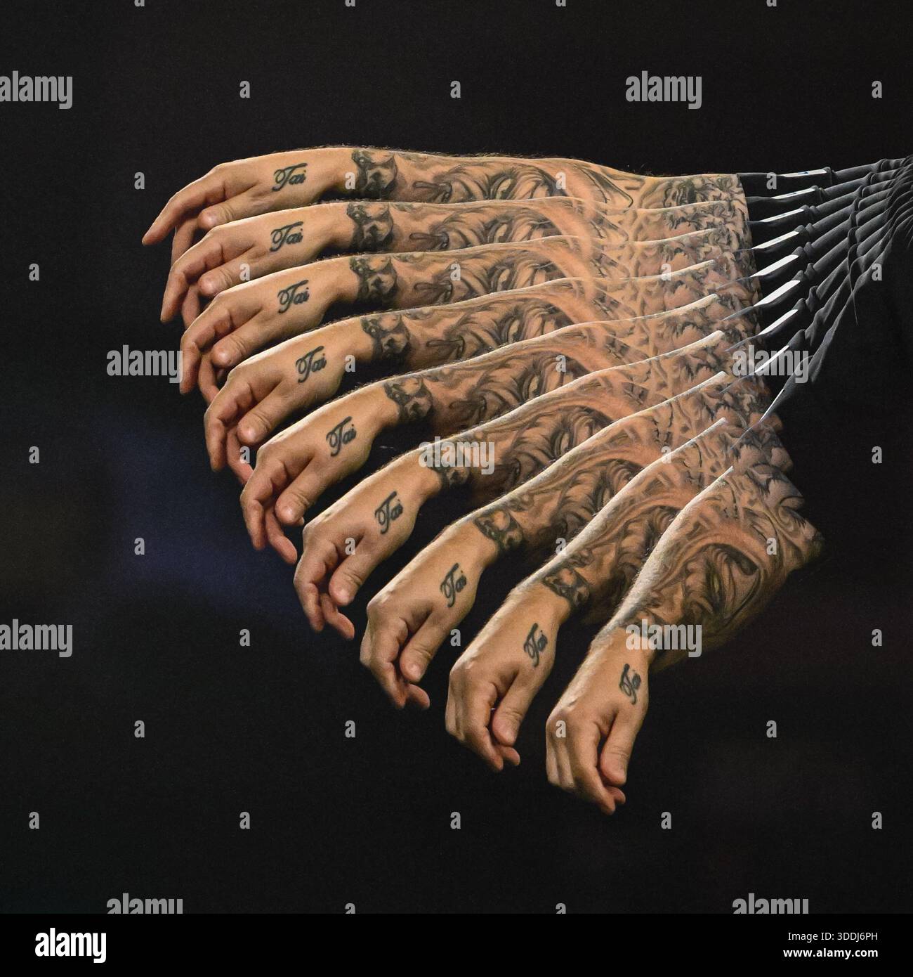 Paddy power world darts championship tag 18 alexandra -Fotos und ...