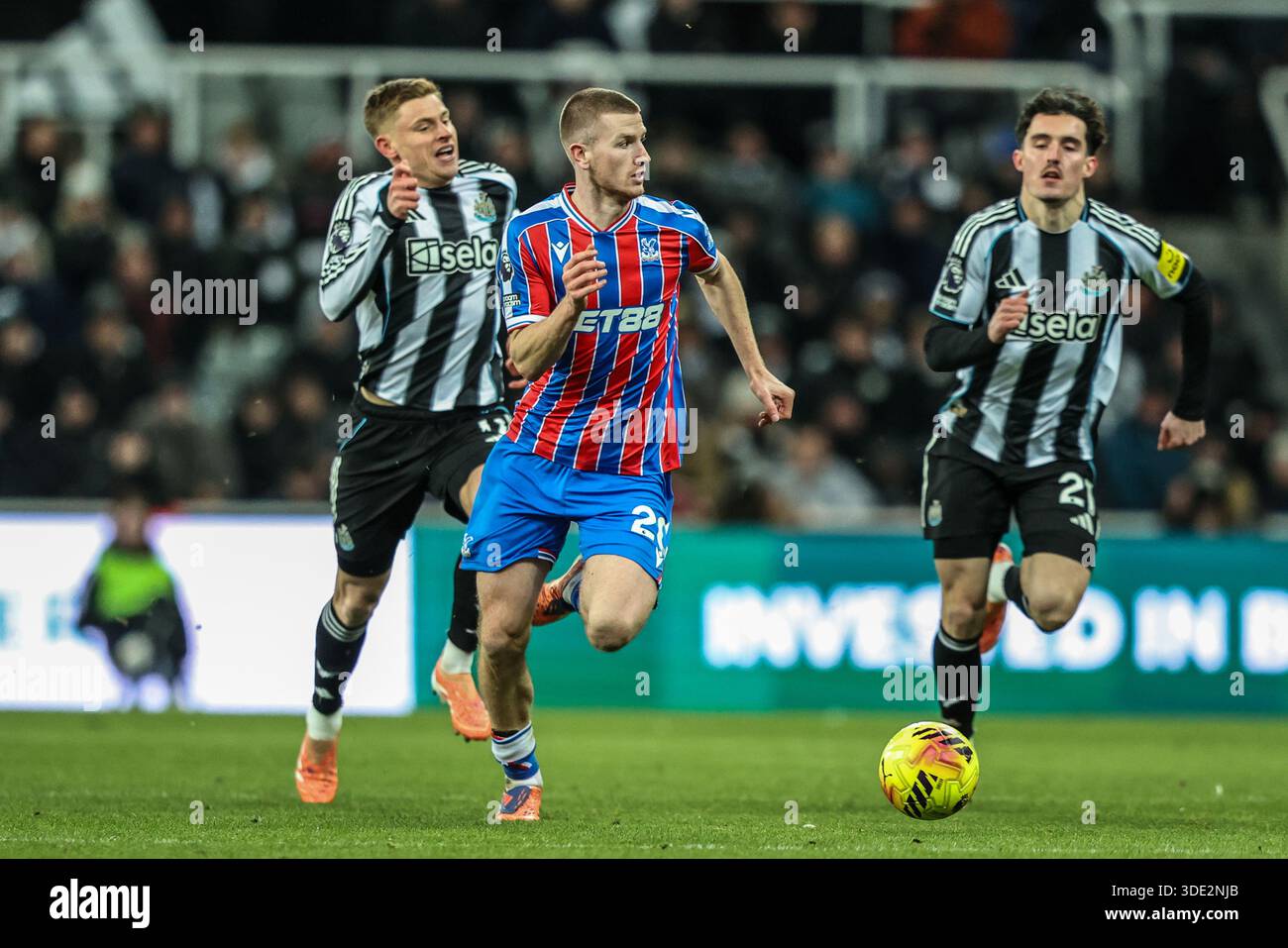 Adam wharton von crystal palace 2026 -Fotos und -Bildmaterial in hoher ...